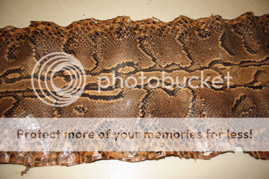 16 ft python skin (taxidermy ?) | Reptile Forums