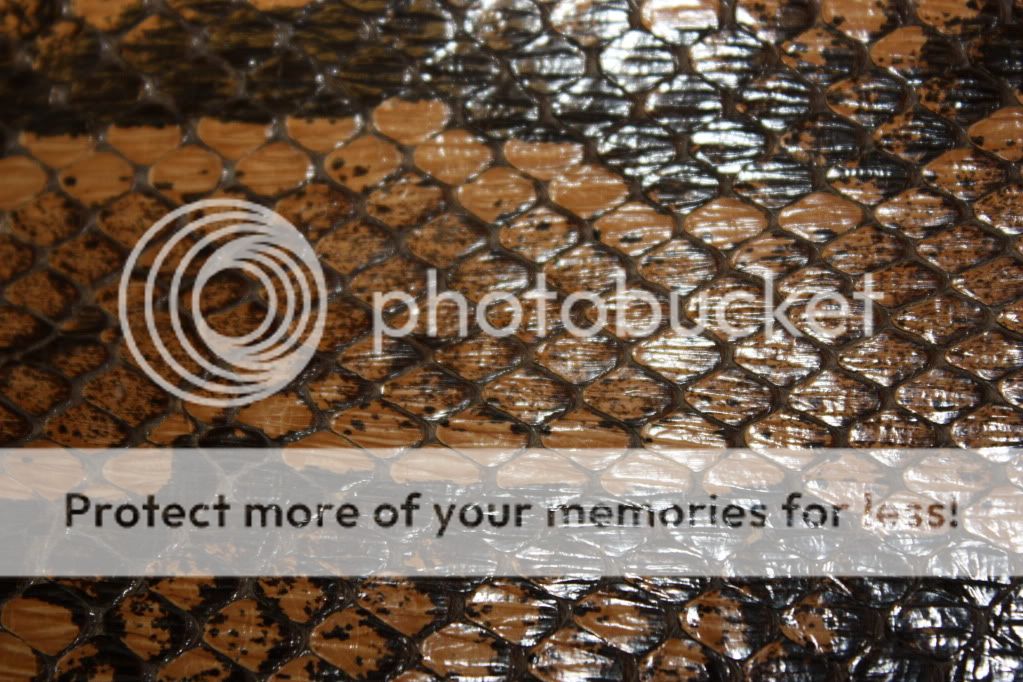 16 ft python skin (taxidermy ?) | Reptile Forums