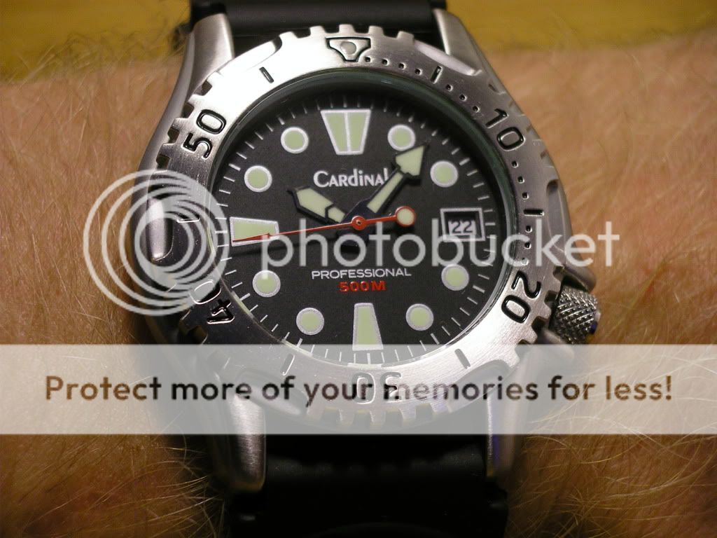 CARDINAL 500m watch | WatchUSeek Watch Forums