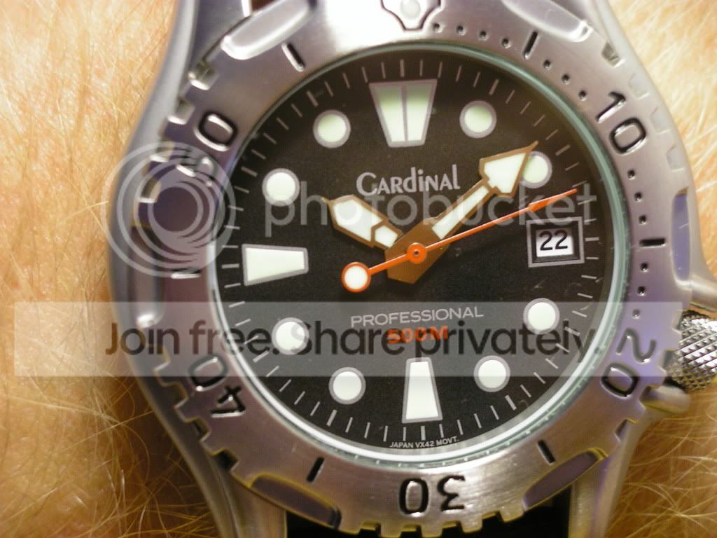 CARDINAL 500m watch | WatchUSeek Watch Forums